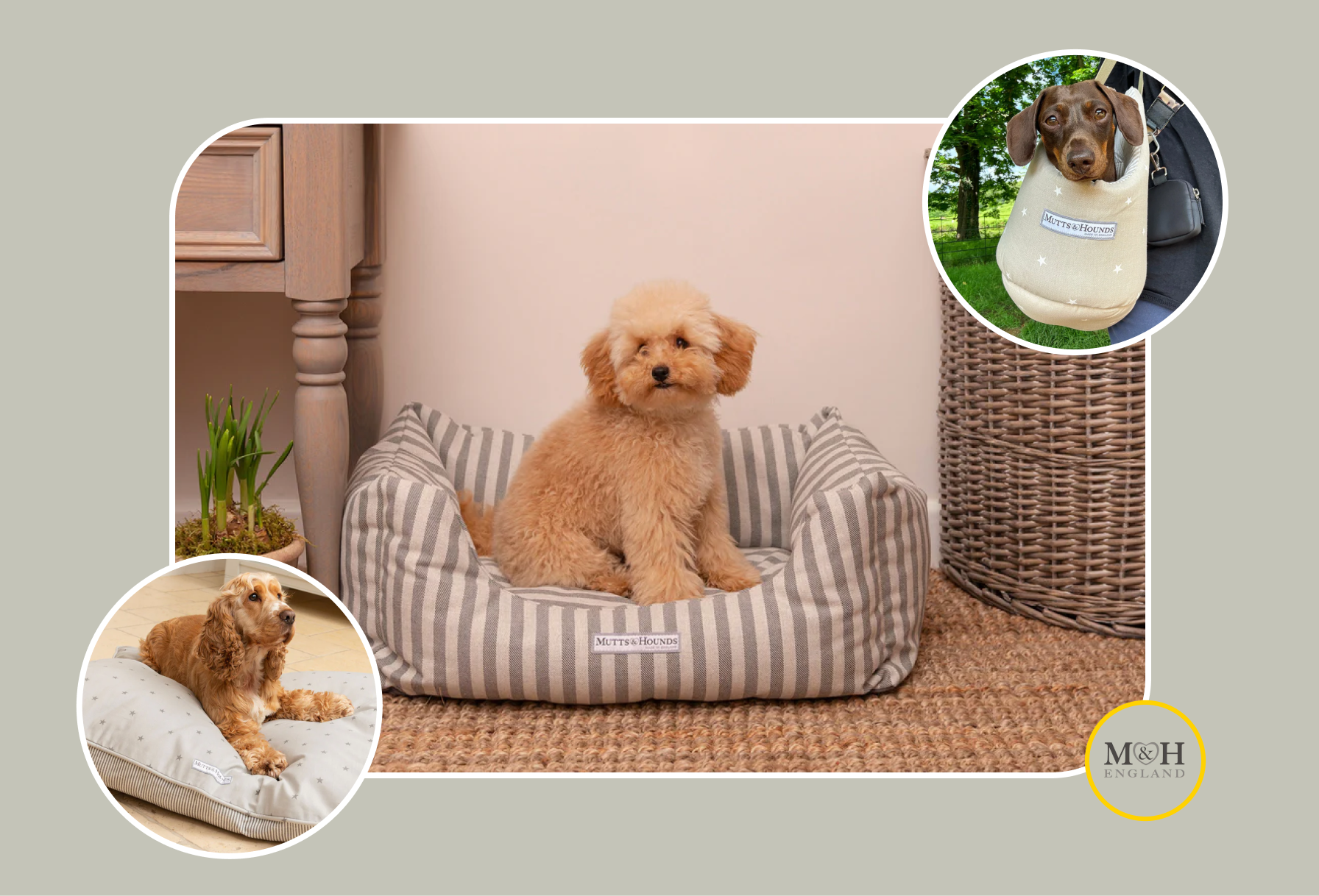 Meet Mutts & Hounds: Timeless Style for Your Four-Legged Friends ...